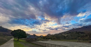 Home - TomKat Ranch LLC